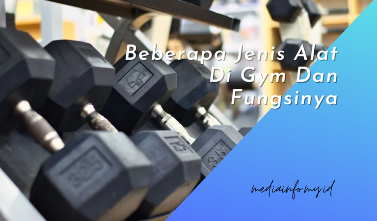 Beberapa Jenis Alat Di Gym Dan Fungsinya - Media Info